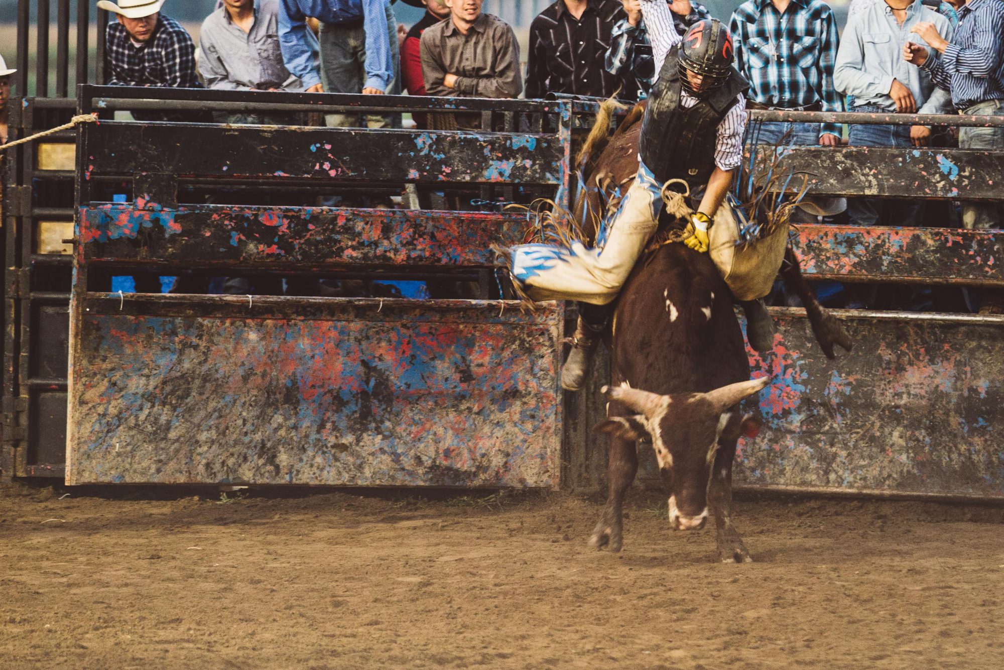 Man riding a bull - Rocket Republic